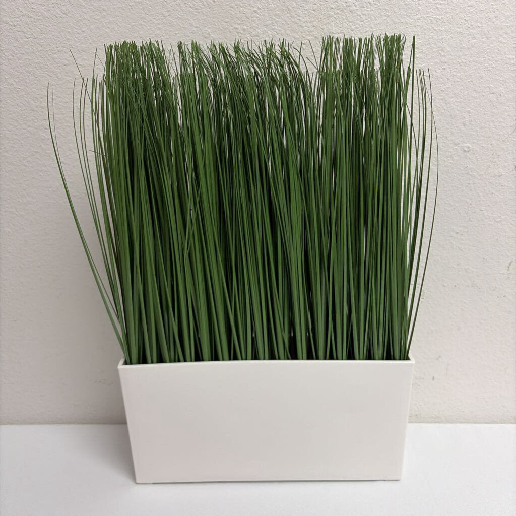 Potted Grass – Couches to Curios